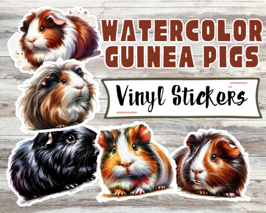 Guinea Pig Vinyl Stickers, Watercolor Stickers, Die Cut, Gift for ...