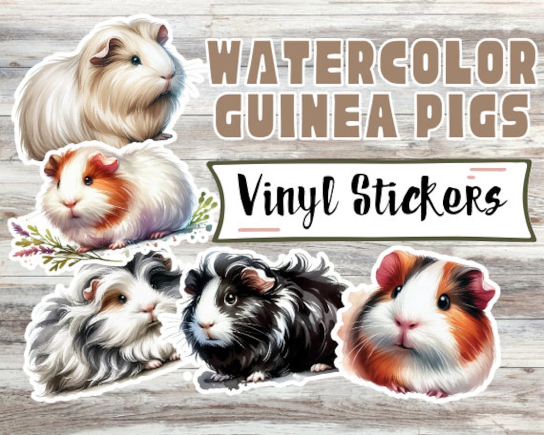 Guinea Pig Vinyl Stickers, Watercolor Stickers, Die Cut, Gift for ...