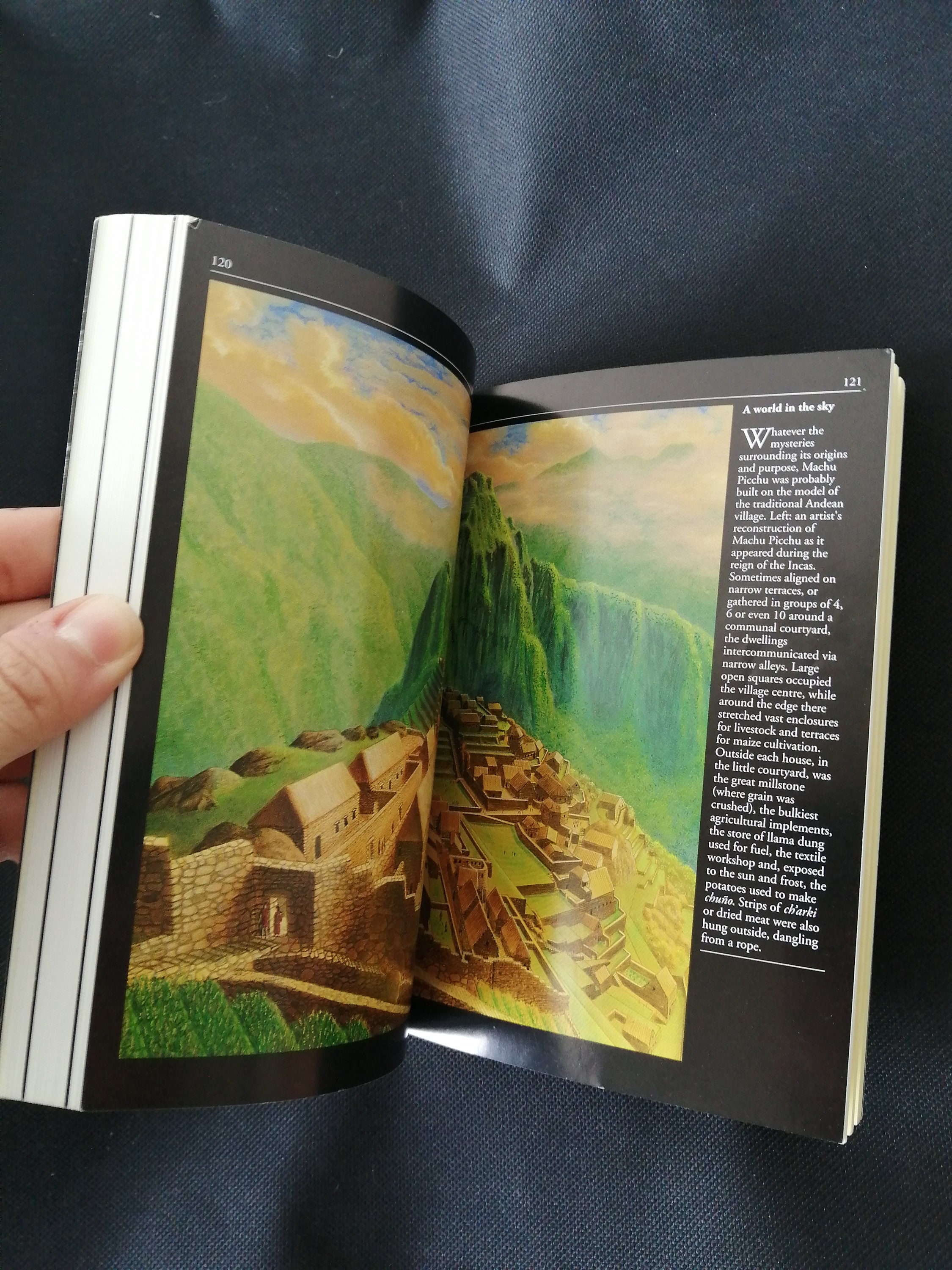 The Incas: Empire of Blood and Gold New Horizons by Carmen Bernand ...