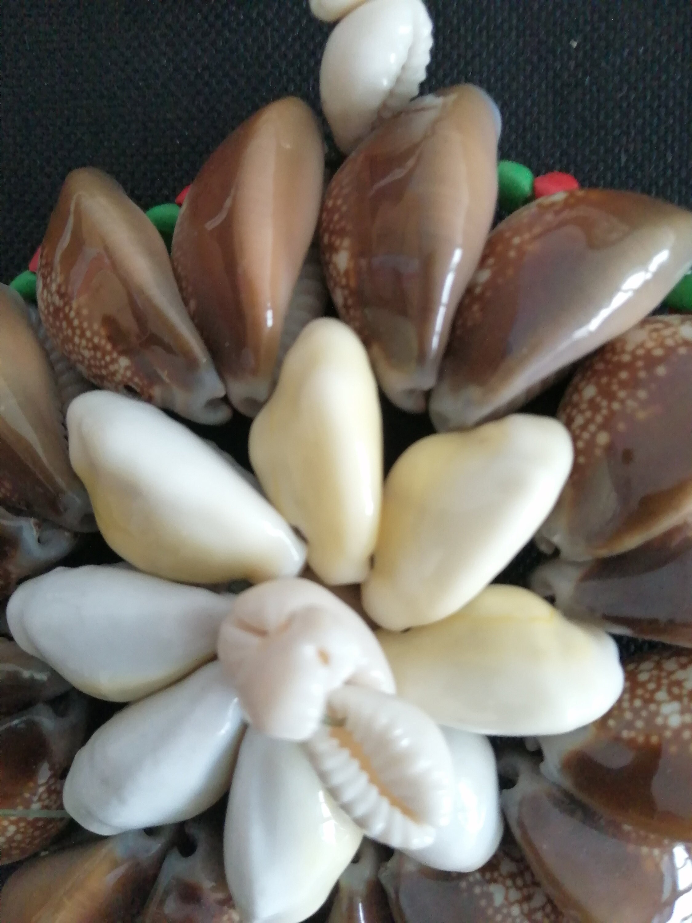 Vintage Seashells Art Kitsch Craft Necklace Ocean Sea Tiny - Etsy