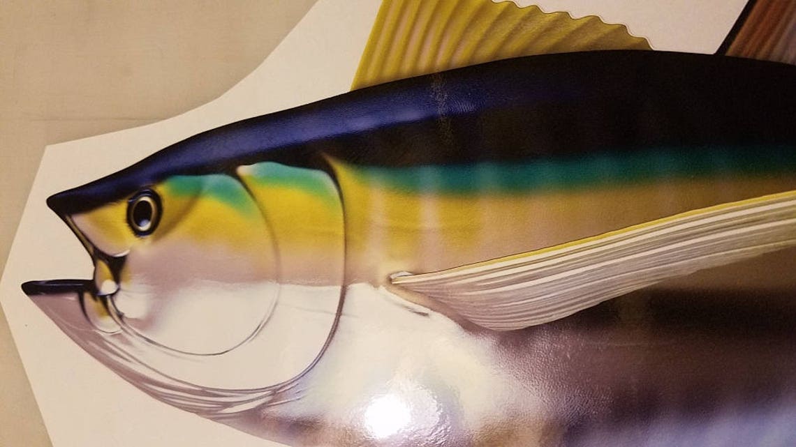 High Resolution Yellowfin Tuna Decal, Yellowfin Tuna Sticker, Boat ...