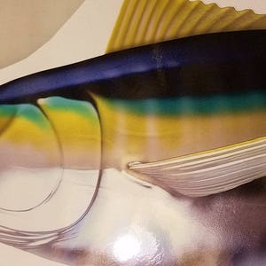 High Resolution Yellowfin Tuna Decal, Yellowfin Tuna Sticker, Boat ...
