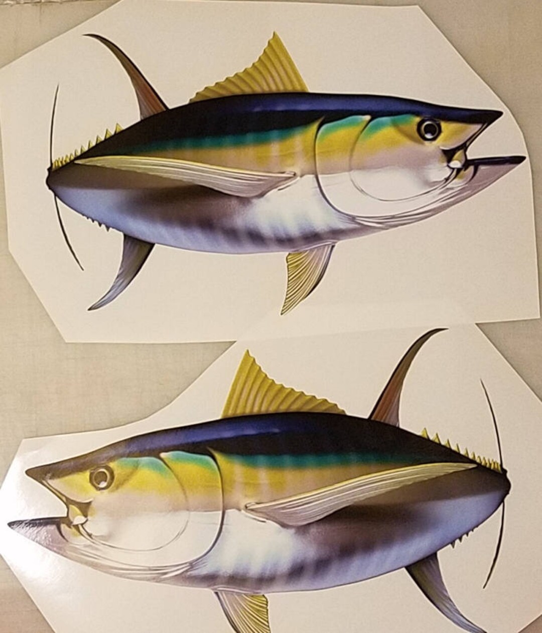 High Resolution Yellowfin Tuna Decal, Yellowfin Tuna Sticker, Boat ...