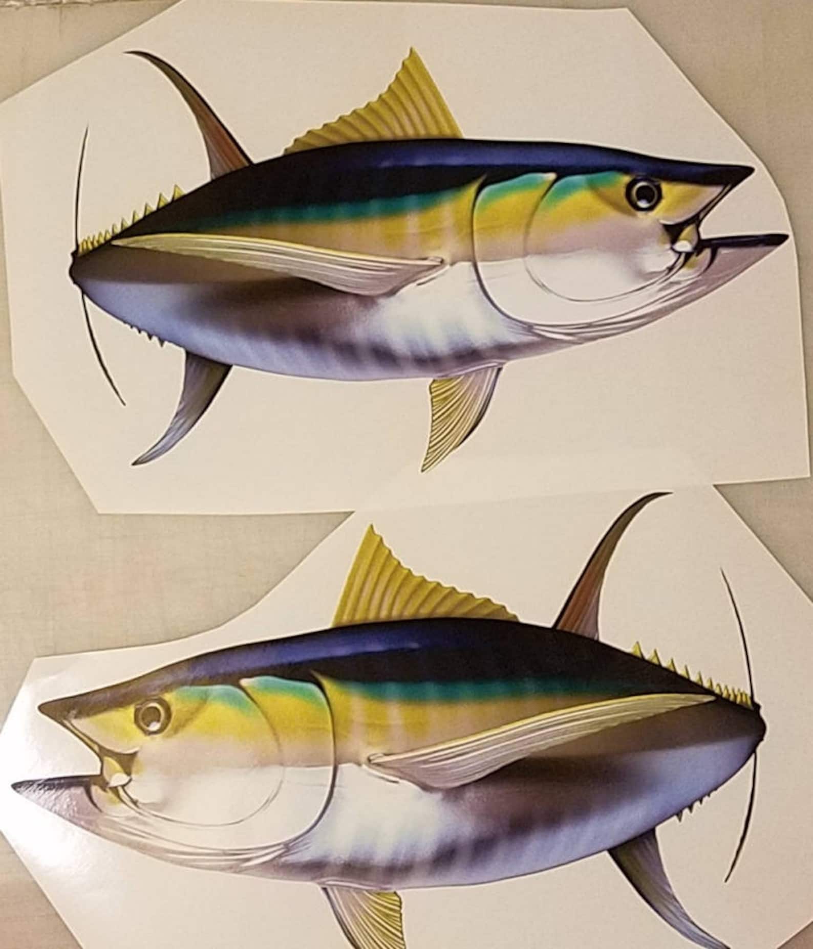 High Resolution Yellowfin Tuna Decal, Yellowfin Tuna Sticker, Boat ...