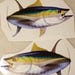High Resolution Yellowfin Tuna Decal, Yellowfin Tuna Sticker, Boat ...