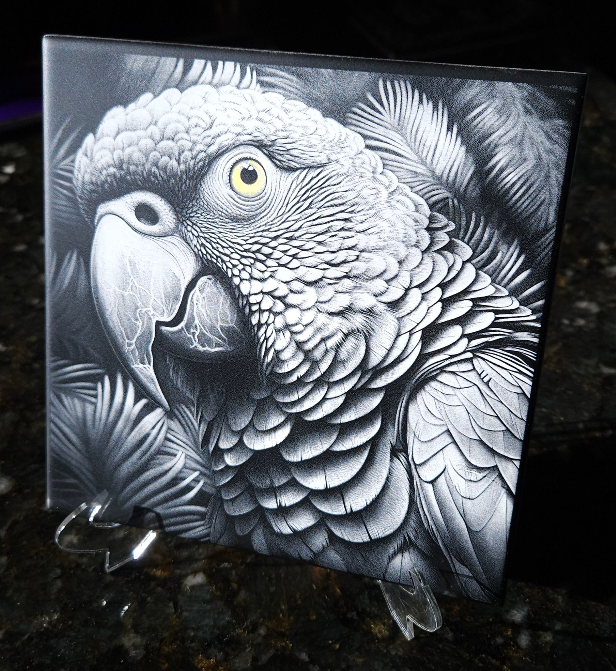 Laser Engraved Parrot on Ceramic Tile. - Etsy