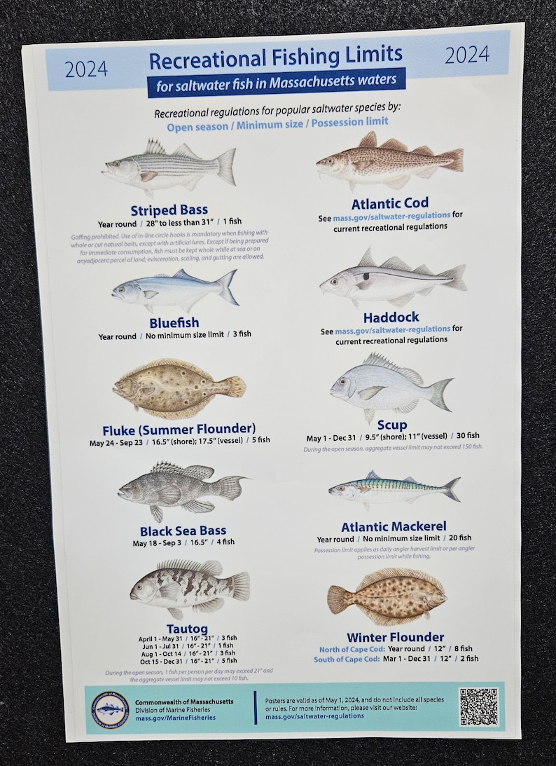 Massachusetts 2024 Recreational Salt Water Fishing Regulations ...