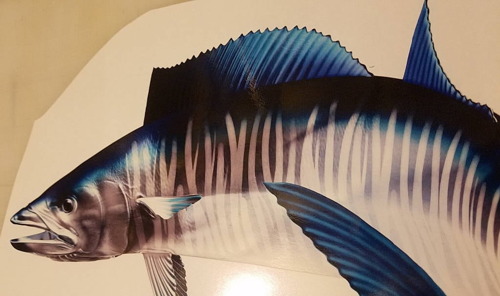 High Resolution Wahoo Fish Decal, Wahoo Sticker, Ono Decal, Boat ...