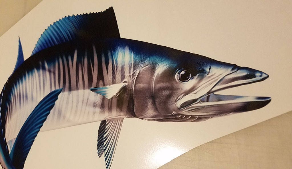 High Resolution Wahoo Fish Decal, Wahoo Sticker, Ono Decal, Boat ...