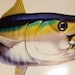 High Resolution Yellowfin Tuna Decal, Yellowfin Tuna Sticker, Boat ...
