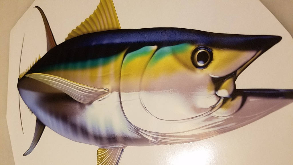 High Resolution Yellowfin Tuna Decal, Yellowfin Tuna Sticker, Boat ...