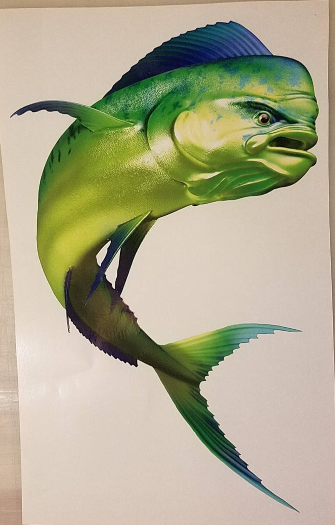 High Resolution Mahi Decal, Mahi Mahi Boat Decal, Fish Graphics, Dorado ...