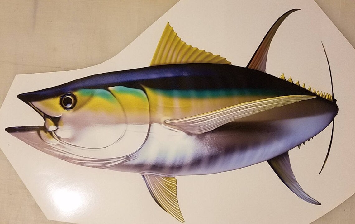 High Resolution Yellowfin Tuna Decal, Yellowfin Tuna Sticker, Boat ...