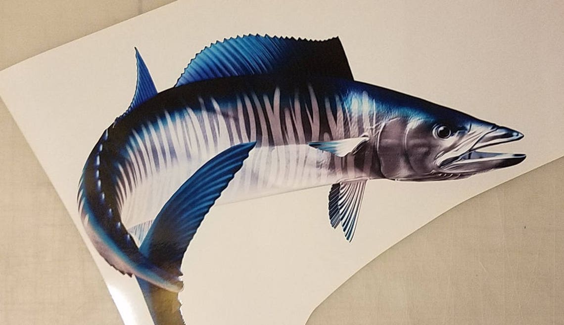 High Resolution Wahoo Fish Decal, Wahoo Sticker, Ono Decal, Boat ...