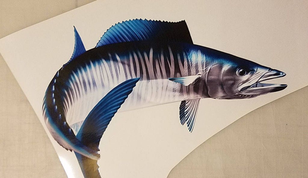 High Resolution Wahoo Fish Decal, Wahoo Sticker, Ono Decal, Boat ...