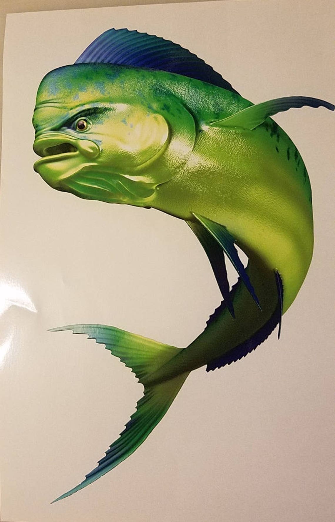 High Resolution Mahi Decal, Mahi Mahi Boat Decal, Fish Graphics, Dorado ...