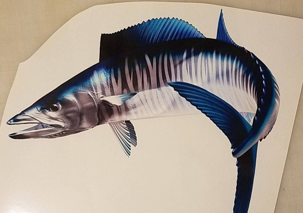 High Resolution Wahoo Fish Decal, Wahoo Sticker, Ono Decal, Boat ...