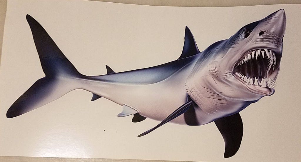High Resolution Mako Shark Decal, Mako Shark, Boat Graphics, Mako - Etsy