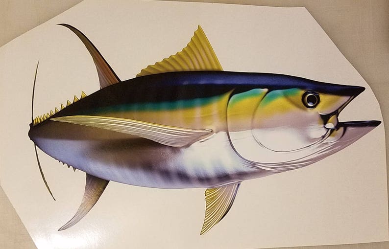 High Resolution Yellowfin Tuna Decal, Yellowfin Tuna Sticker, Boat ...