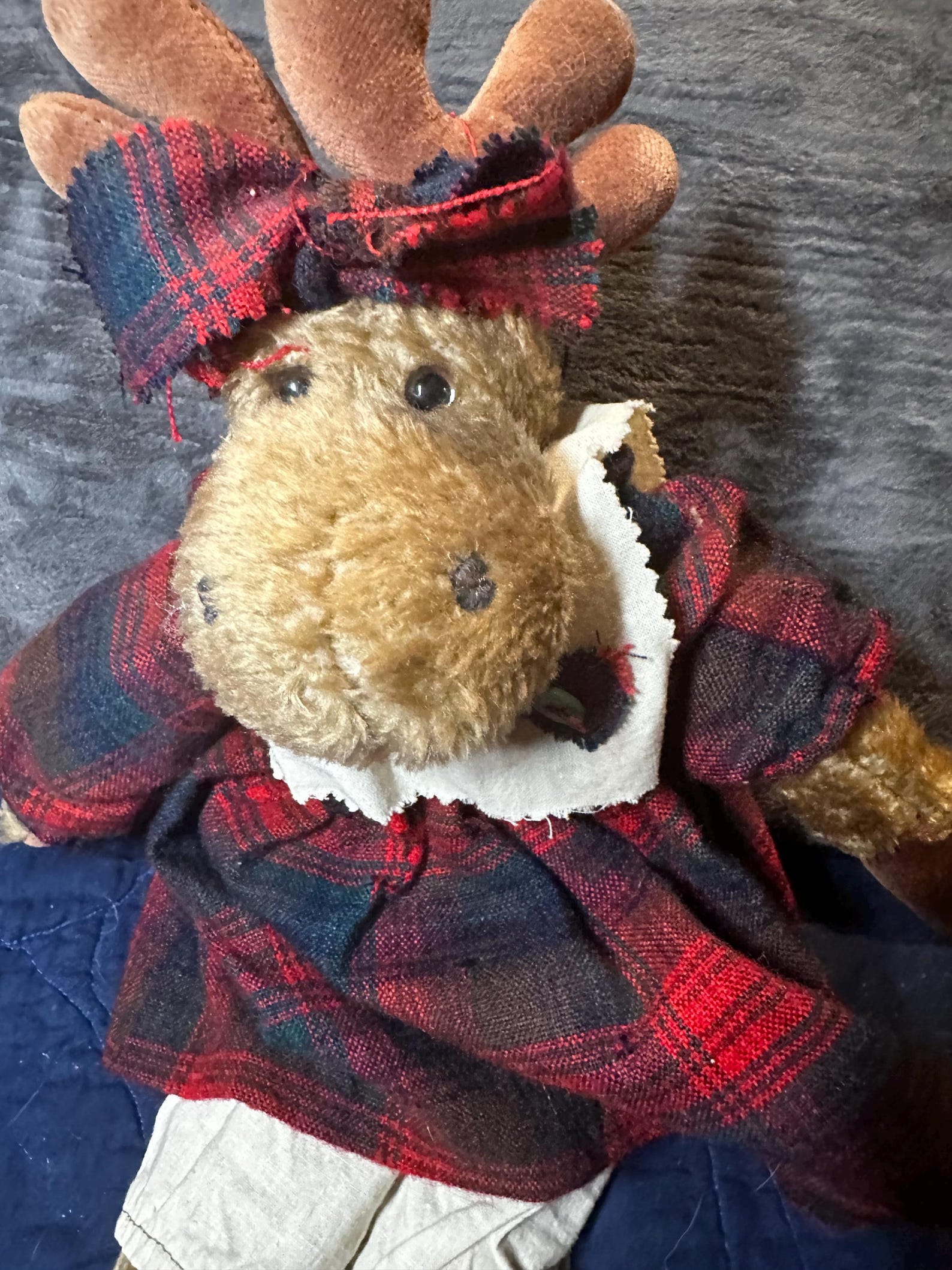 Boyds Bears Minney Moose With Tags & Bearware the Archive Collection - Etsy