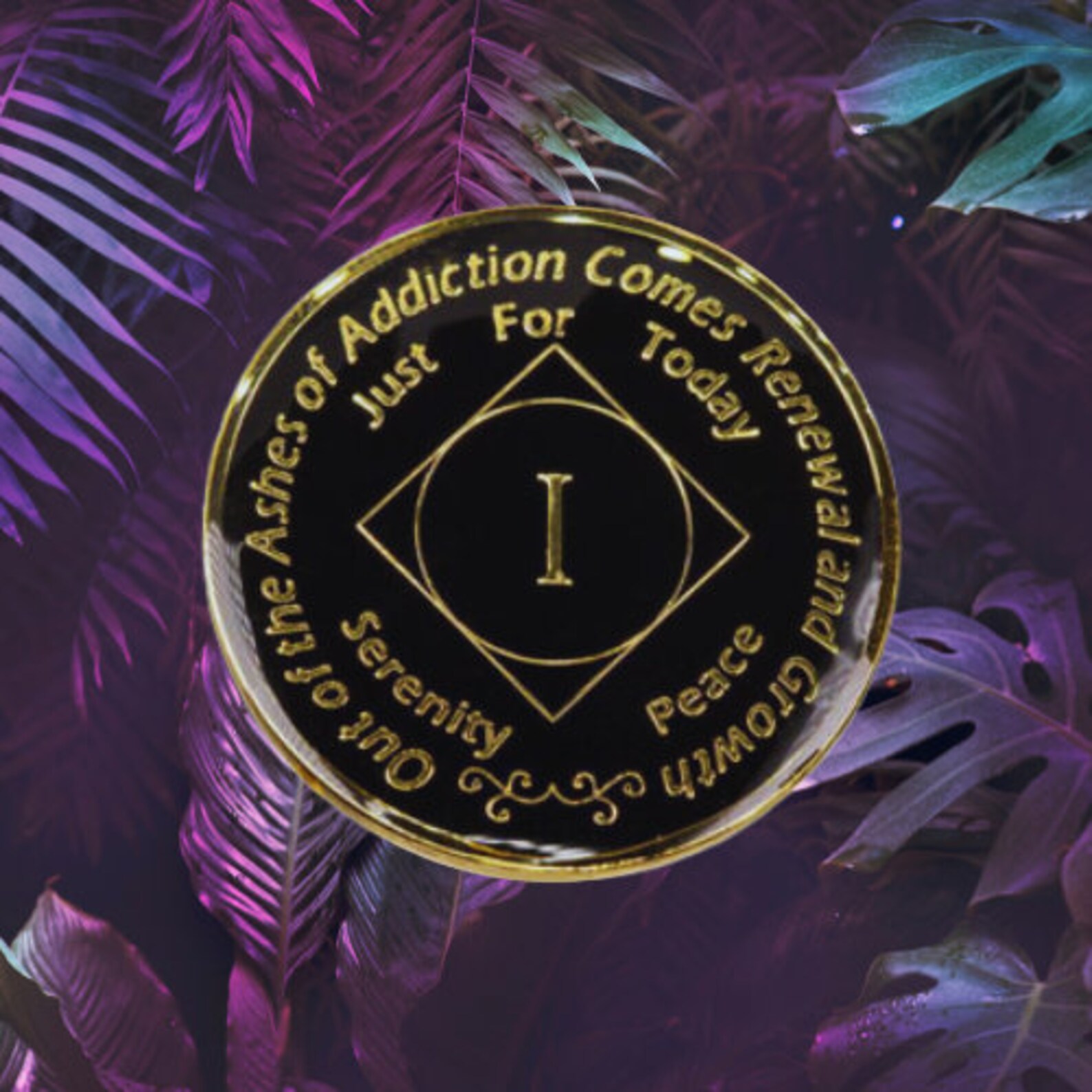 NA Black Medallion (yrs 1-45) Recovery Narcotics Anonymous Milestone ...