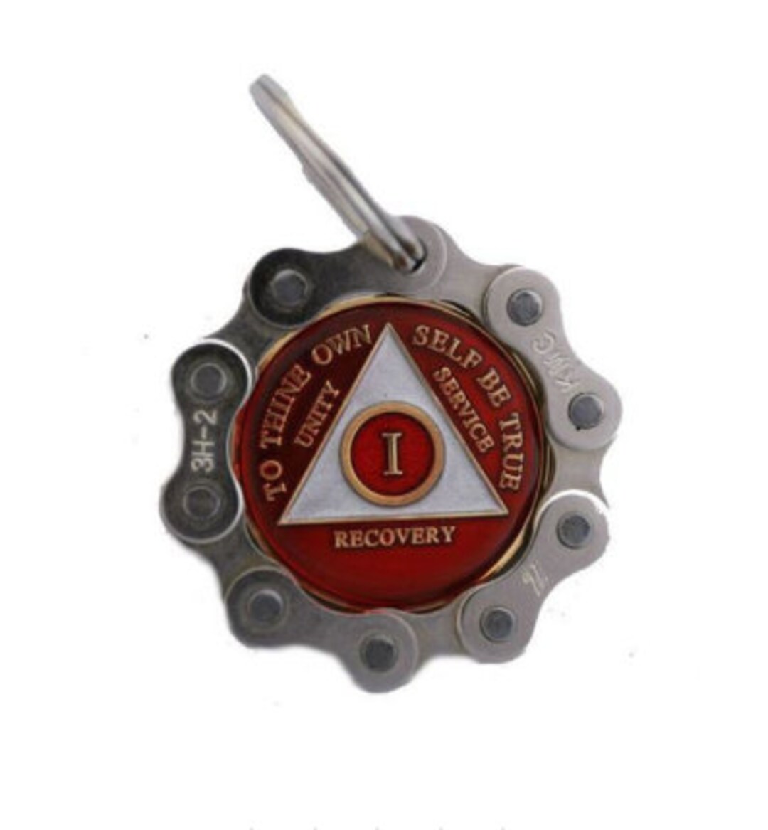 Bike Chain Medallion Holder Gold for Triplated Coins and Bronze ...