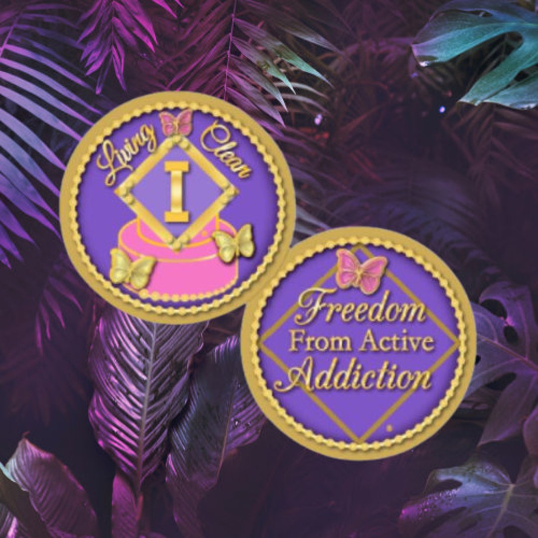 NA Butterfly Purple/pink Anniversary Cake Medallion 1-20 Years 12 Step ...