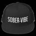 Sober Vibe Hat Flat Bill Cap Unisex Sober AF Party Hat 12 Step Recovery ...