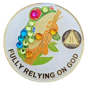 New Bling FROG Fully Relying on God Yearly Recovery Medallion ...