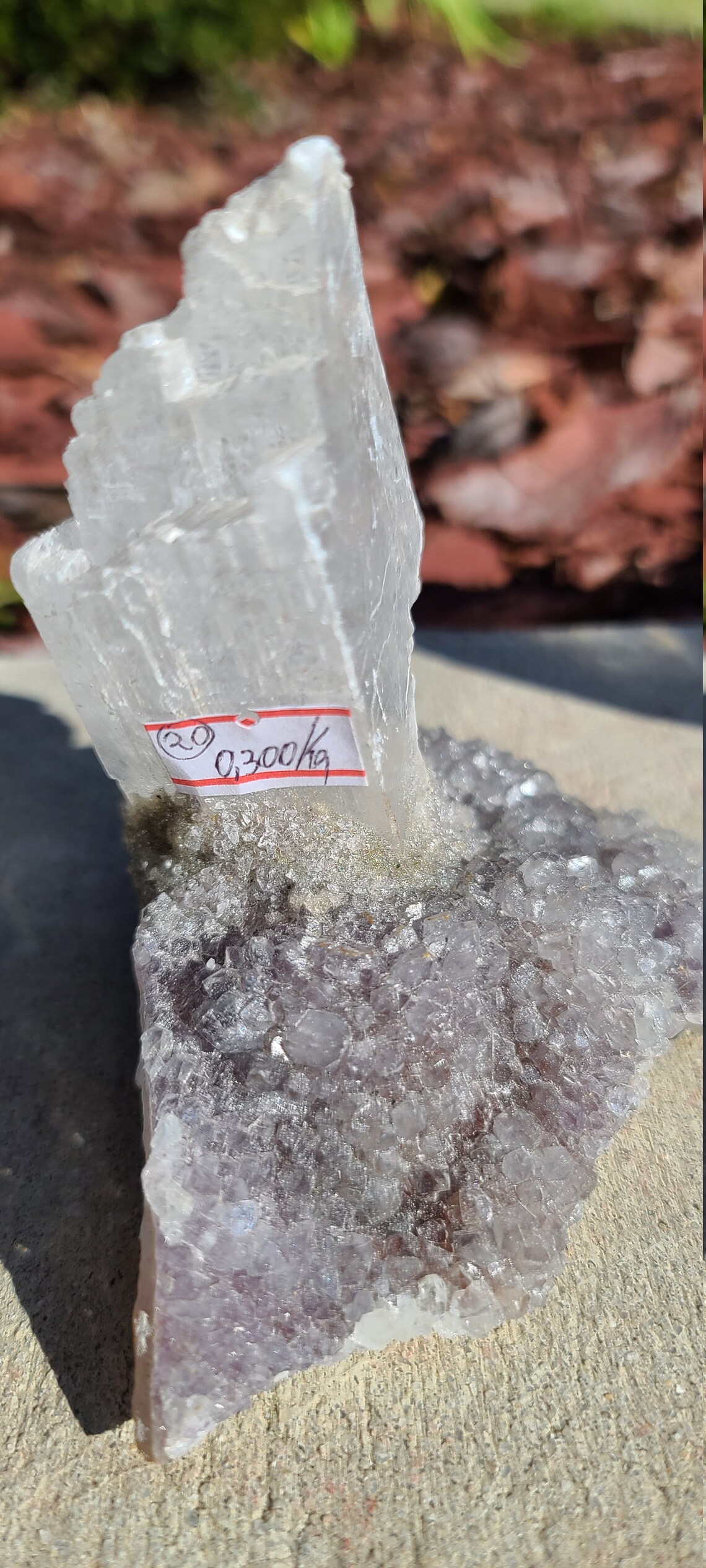 Unique Small Medium Gypsum on Amethyst Flower Gorgeous - Etsy