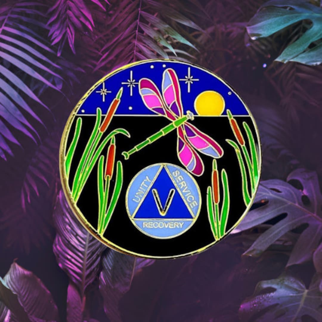 Know Peace AA Dragonfly Recovery Medallion 1-60 Alcoholics Anonymous ...