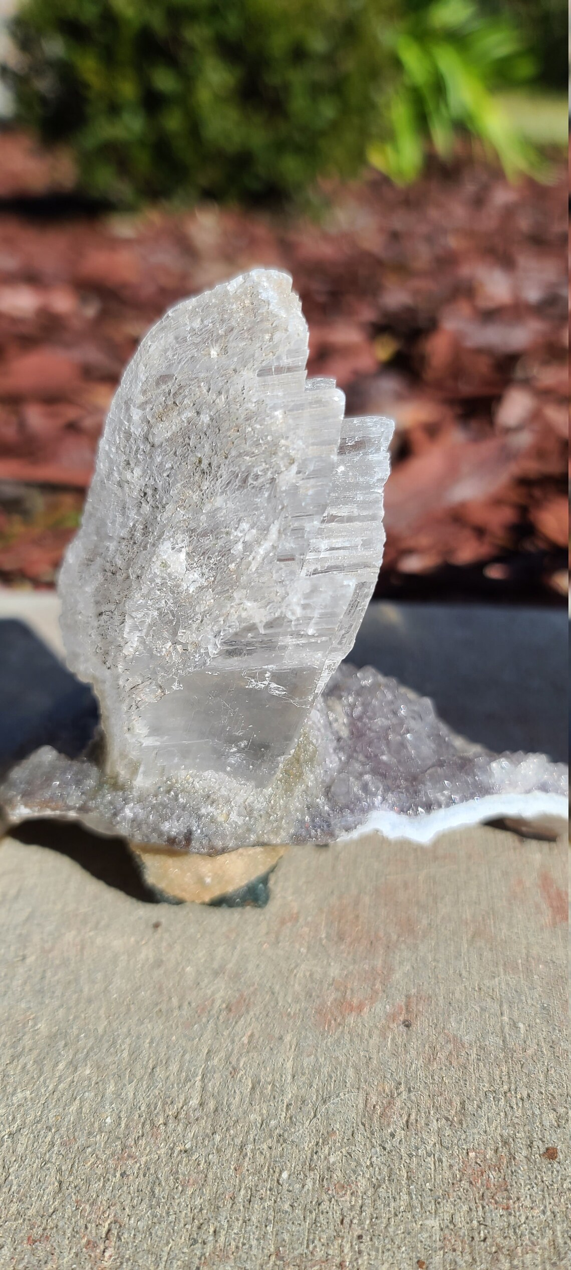Unique Small Medium Gypsum on Amethyst Flower Gorgeous - Etsy
