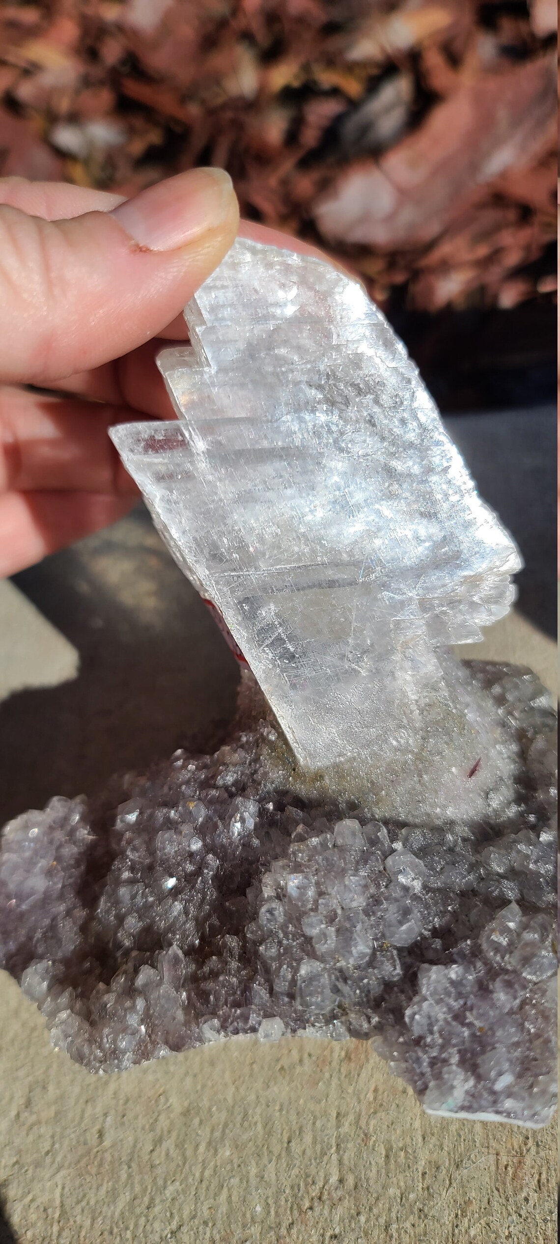 Unique Small Medium Gypsum on Amethyst Flower Gorgeous | Etsy