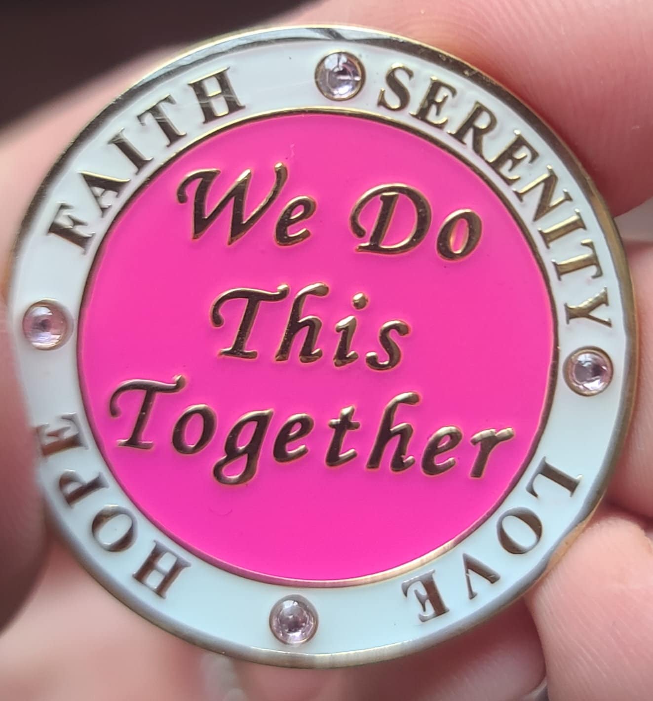Premium Pink Sisters in Recovery 12 Step Recovery Medallion - Etsy