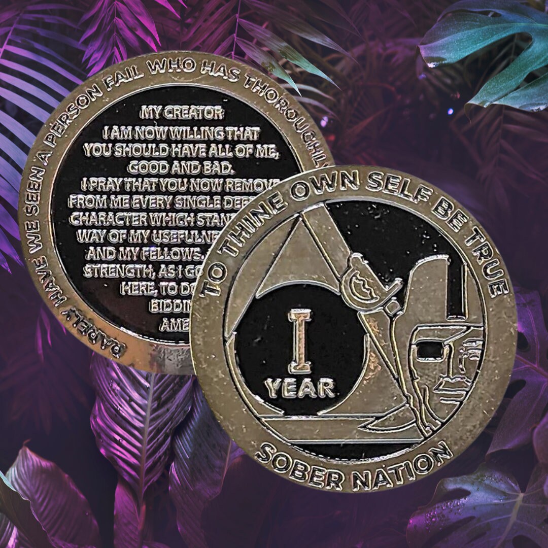 Silver and Black Raider Pirate Yearly 1-50 Alcoholics Anonymous AA ...