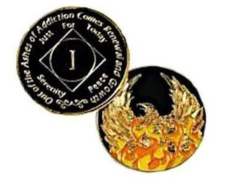 NA Out of Ashes Phoenix Recovery Narcotics Anonymous Milestone | Etsy