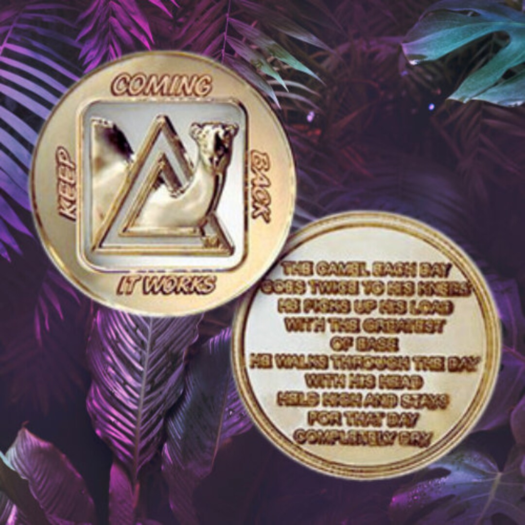 Bi-plated "sober Camel" Coin - Specialty Medallion ODATT AA Recovery ...