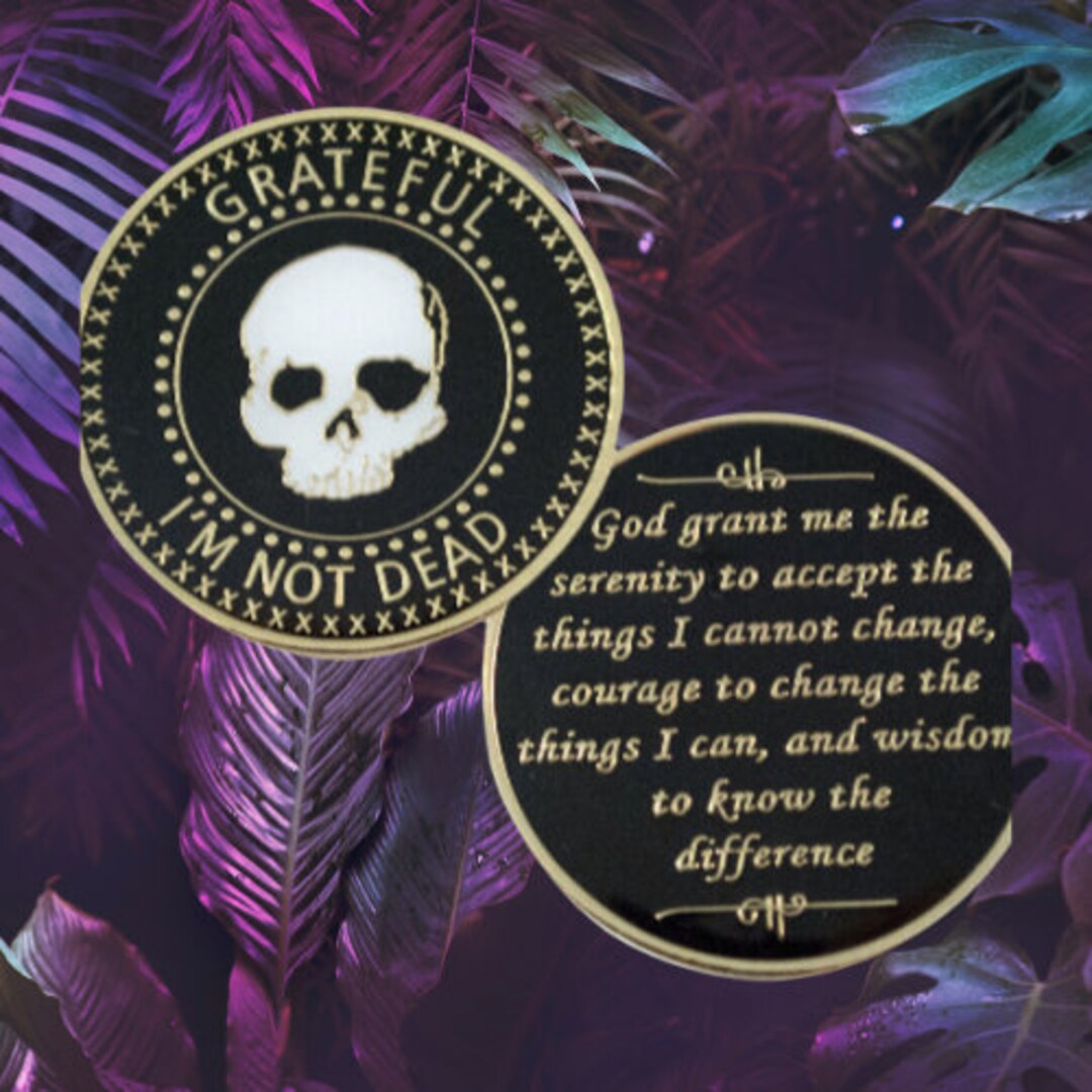 Grateful I'm Not Dead Medallion Chip Recovery Medallions - Etsy