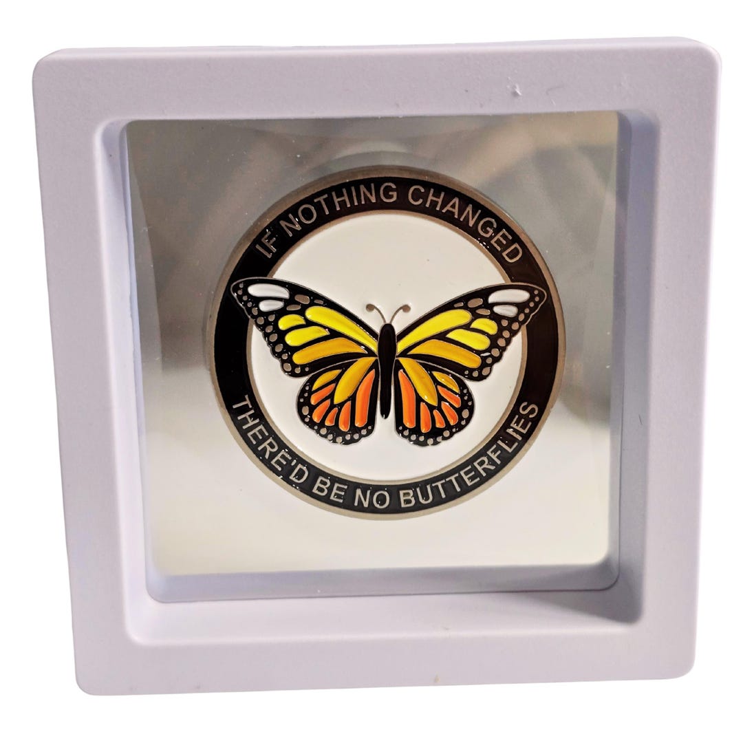 Butterfly Change Inspirational Recovery Medallion W/case - Unity ...