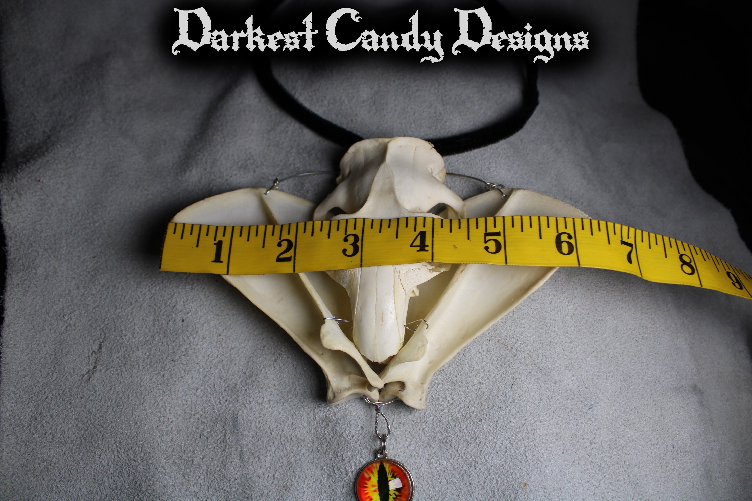 Real Groundhog Skull & Bobcat Scapula Chestpiece Necklace | Etsy