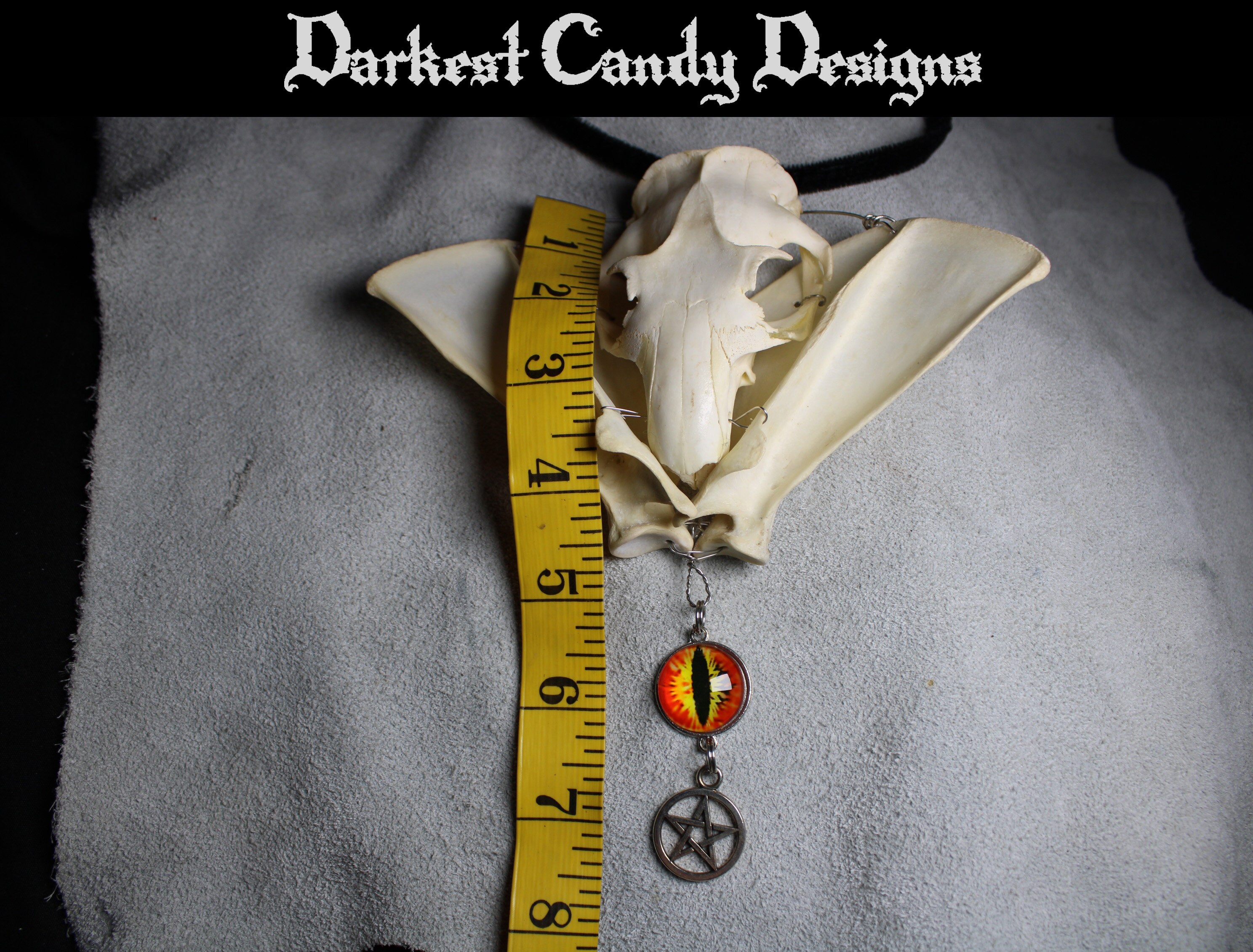 Real Groundhog Skull & Bobcat Scapula Chestpiece Necklace | Etsy