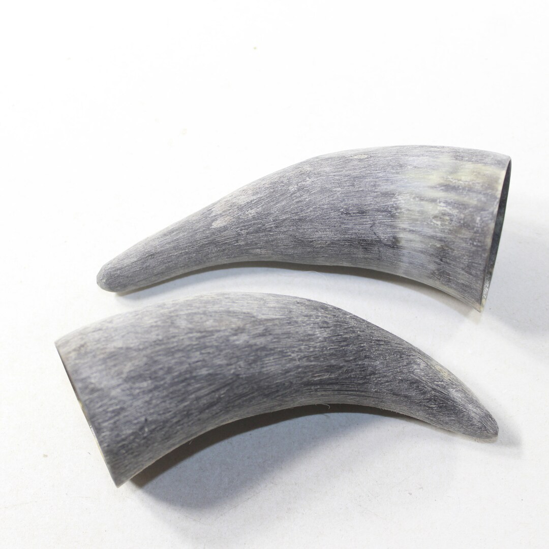 2 Raw Unfinished Cow Horn Tips 923-2 Natural Colored - Etsy