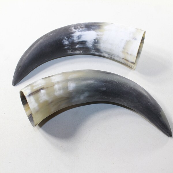 Raw Cow Horns - Etsy