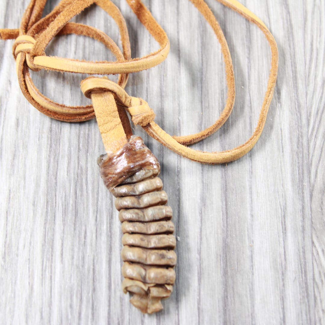 Very Large Rattlesnake Rattle Necklace 4752 Mountain Man Necklace - Etsy