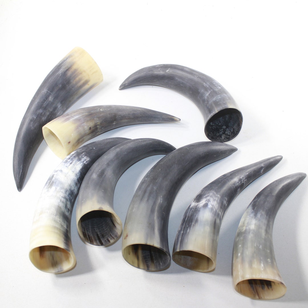 8 Raw Unfinished Cow Horns 952N Natural Colored - Etsy