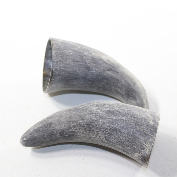 Raw Cow Horns - Etsy