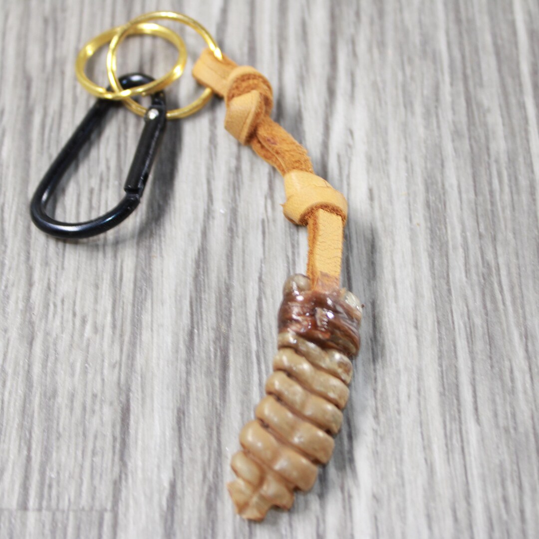 Very Large Rattlesnake Rattle Key Ring 4448 Keychain Tassel Bag Tag - Etsy