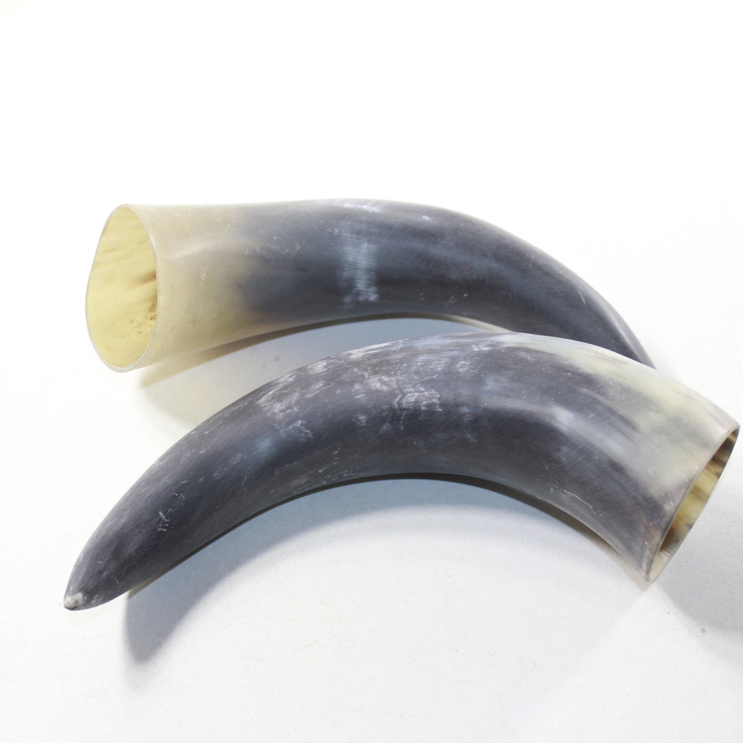 2 Raw Unfinished Cow Horns 473-2 Natural Colored - Etsy