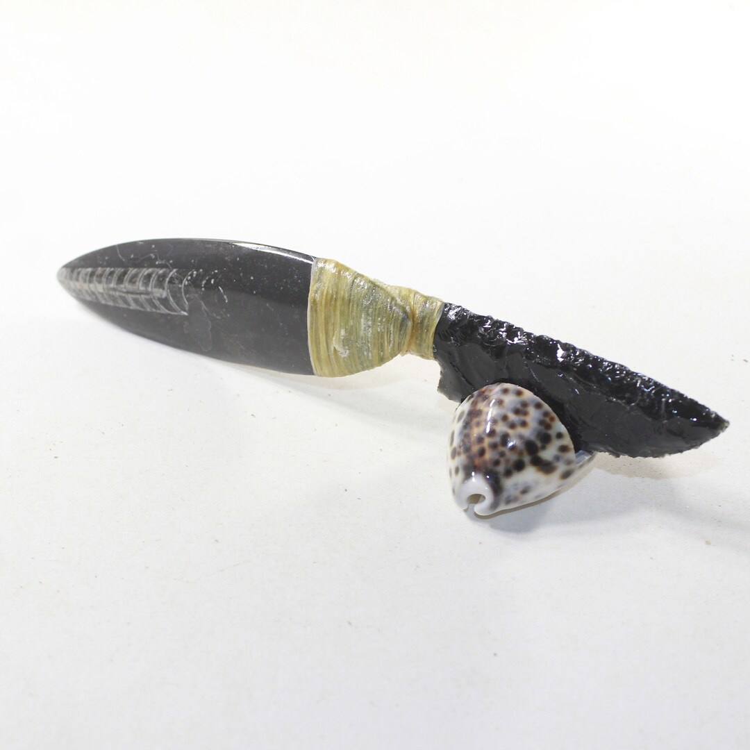Orthoceras Fossil Handle Obsidian Blade Ornamental Knife 4303-2 ...