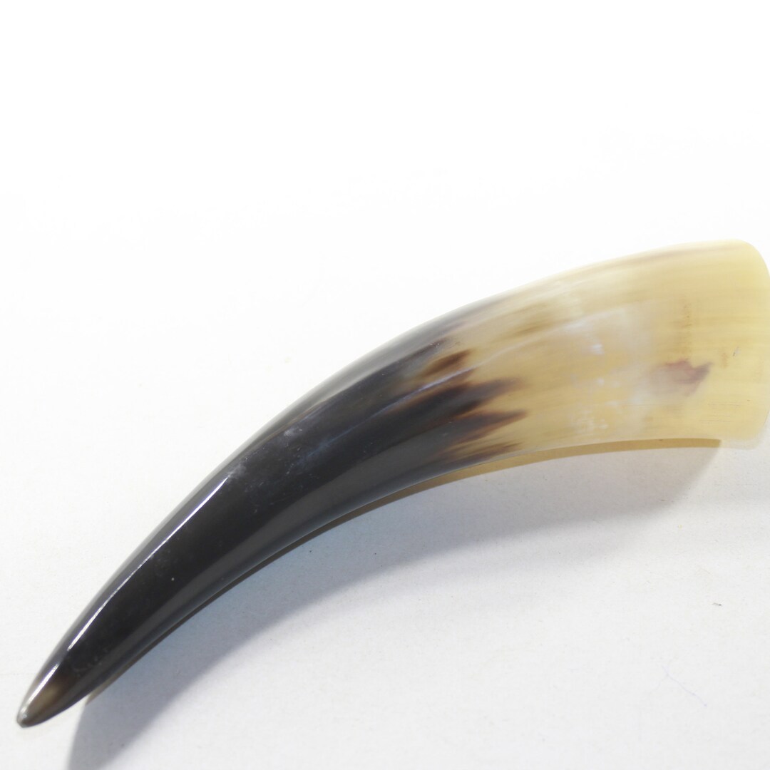 1 Polished Cow Horn 1435 Natural Colored - Etsy